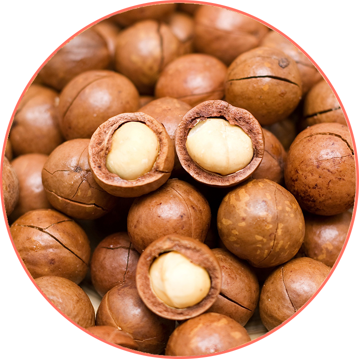 Agro Products Manufacturers & Suppliers